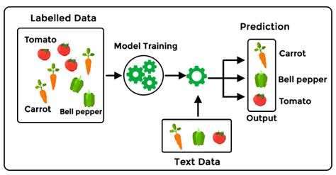 Supervised Machine Learning