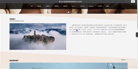 基于flask vue框架的宠物领养系统[开题 论文 程序] 计算机毕设 csdn博客