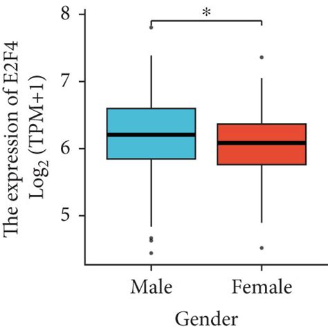 Correlation Of E2f4 Expression With Clinical Characteristics Of Download Scientific Diagram