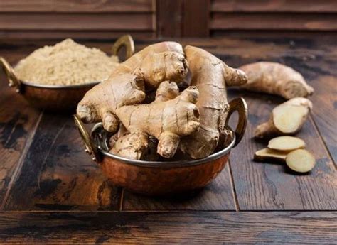 Fresh Ginger At Best Price In Surat By Akash International Id 2857600870262