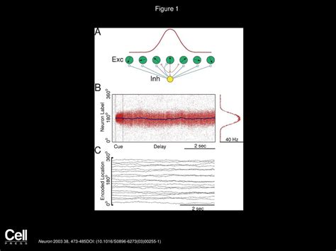 robust spatial working memory through homeostatic synaptic scaling in
