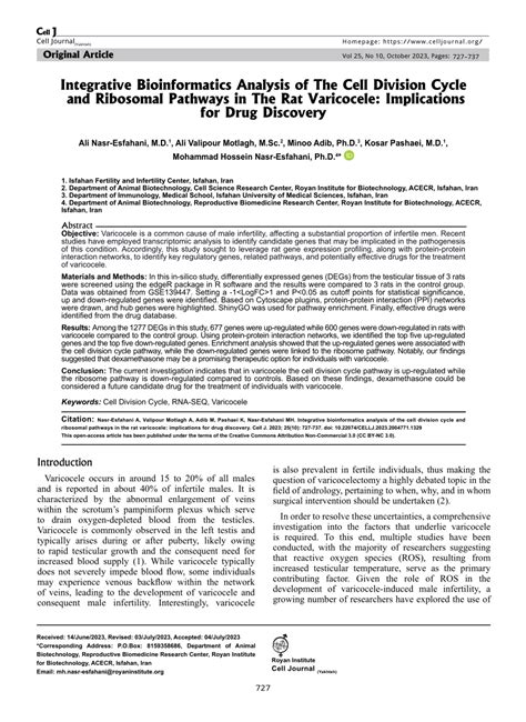 Pdf Integrative Bioinformatics Analysis Of The Cell Division Cycle And Ribosomal Pathways In