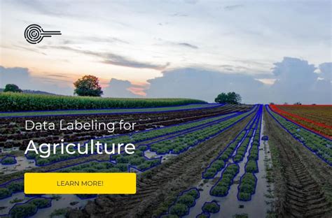 Human In The Loop Data Labeling For Machine Learning Keymakr