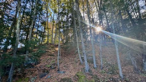 The Stourbridge Line Offers Scenic Pennsylvania Train Excrusions