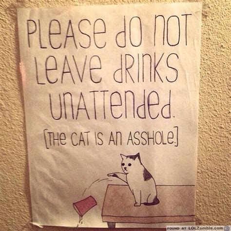Do Not Leave Drinks Unattended Cat Is An Asshole Lol Zombies Funny