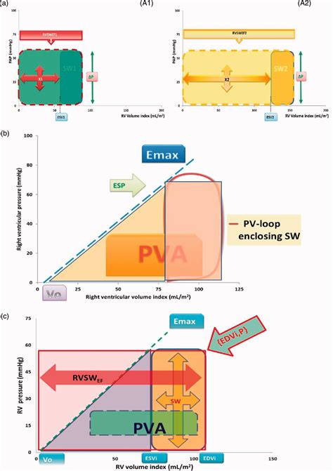 A Schematic Representation Of Pressure‐volume Pv Loops For The Download Scientific Diagram