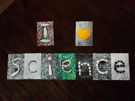 Science Classroom Banner Biology Decor Science Rocks Nature Letters