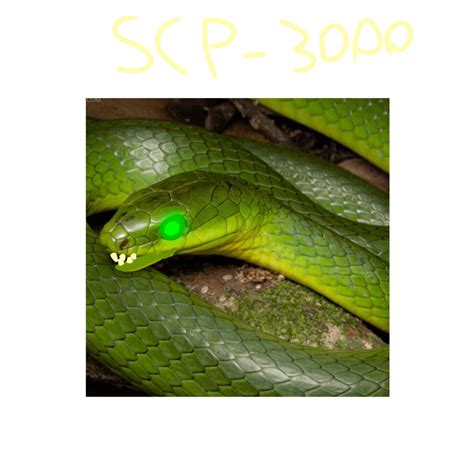 Scp 3000 For Lgplayz998 If U Want Me To Do A Scp You Can Tell Me 3