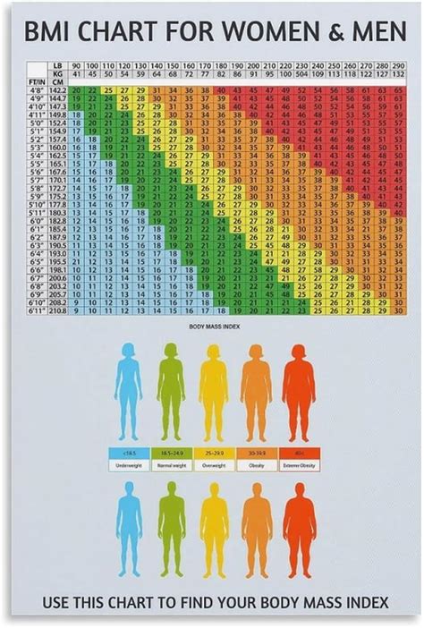 Body Mass Index Chart Bmi Of Man And Woman Scale Poster