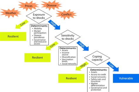1 Determinants Of Vulnerability And Resilience Download Scientific