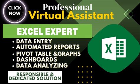 do all excel work data entry reports dashboard analyzing by rakesh