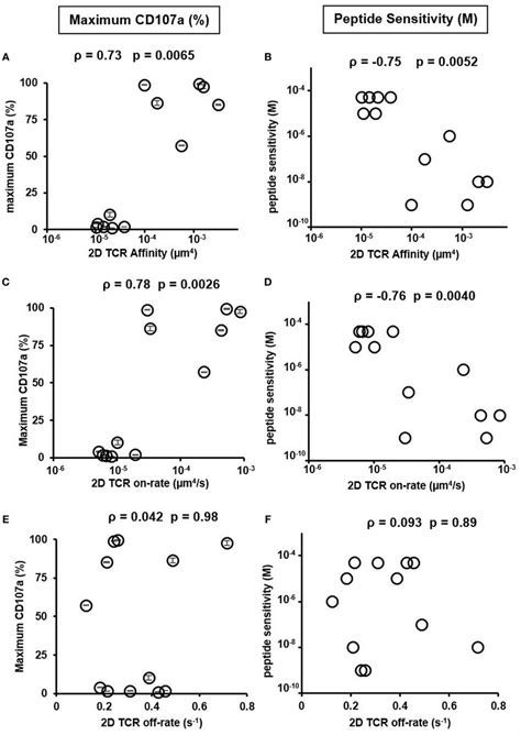 Two Dimensional 2d T Cell Receptor Tcr Affinity And On Rate Download Scientific Diagram