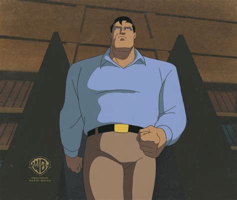 Bruce Wayne Animated Series