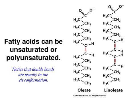 Ppt Lecture Notes For Chapter 8 Lipids And Membranes Powerpoint