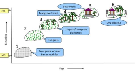 The Process Of Land Formation In The Meghna Estuary Source Sarker Et