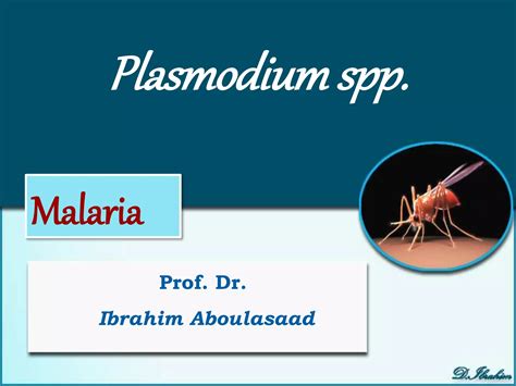 Plasmodium Spp Pptx