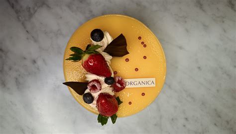 Lemon Cheesecake Organica