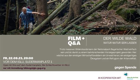 Pop Up Kino Der Wilde Wald Kölnkostenlos