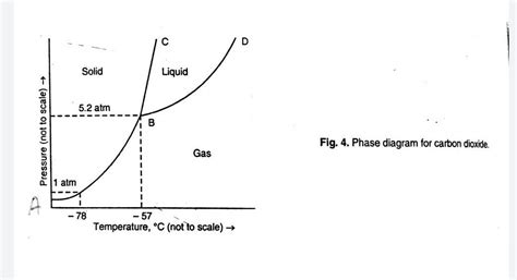 Discuss The Phase Diagram Of The Co2 System Here You Have To Describe