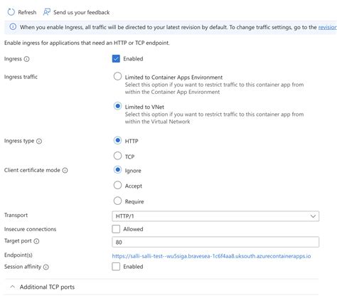 How To Terminate Durable Function Instance Hosted In A Container App In