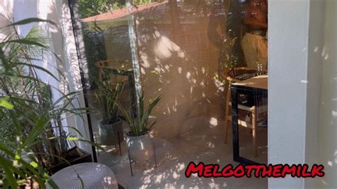 Peeping Tom Farts Melaninfarts Clips4sale