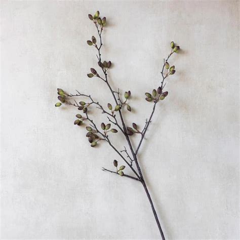 Barberry Artificial Stem Lichen Or Knot Plant Company Llc