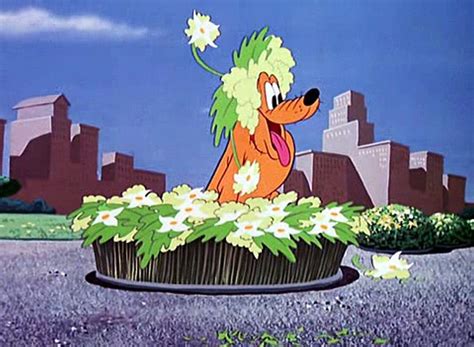 Pluto Bubble Bee 1949 Video Dailymotion