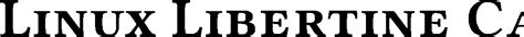 Linux Libertine Font Family Styles By Linux Libertine