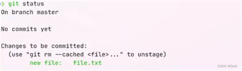 Git使用全解析 Git的原理 配置 基础使用 分支 合并 Git使用全解析 Git的原理 配置 基础使用 分支 合并