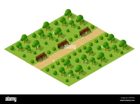 Isometric Illustration Of A Lush Green Forest Growing On A Square Plot