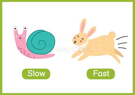 Fast And Slow Opposites