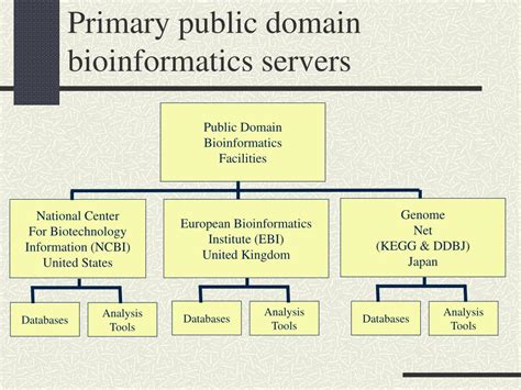 Ppt Ncbi Data Sliding Window Programs And Dot Plots Powerpoint Presentation Id 4627033