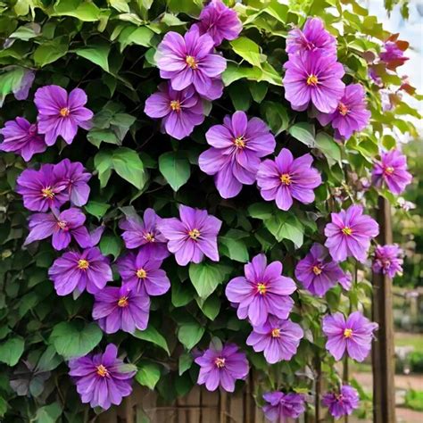 Purple Flowers Are Growing On A Plant In A Pot Premium Ai Generated Image