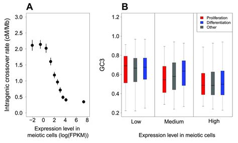 Recombination Meiotic Expression And Human Codon Usage Elife