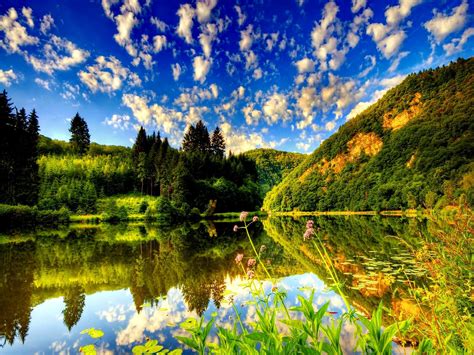 Nature 4k Summer Wallpapers Wallpaper Cave