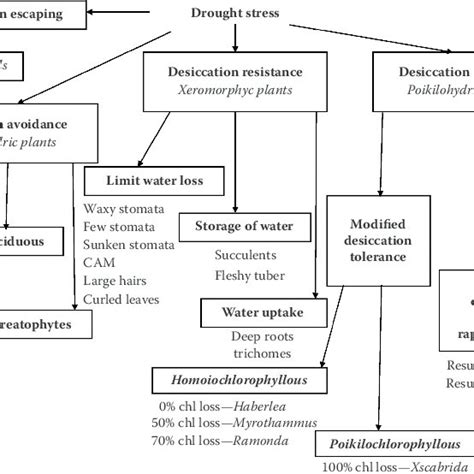 1 Classification Of Drought Effects Download Scientific Diagram