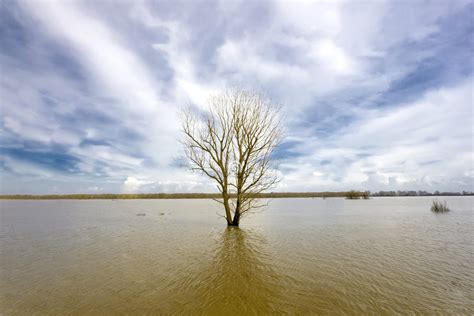 Home Flooodguard Integrated Actions For Joint Coordination And