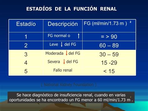 Determinacion Del Filtrado Glomerular
