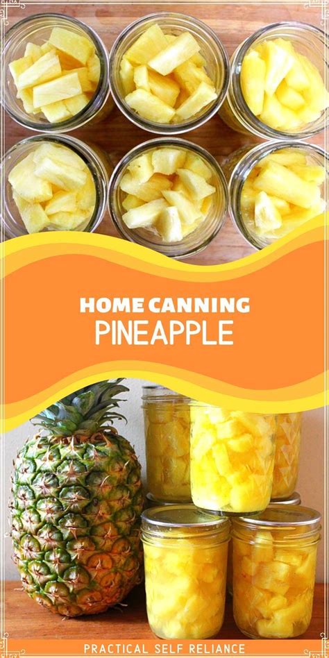 Canning Pineapple Recipe Canning Fruit Recipes Canning Recipes