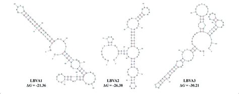 Secondary Structures Prediction Of Selected Aptamers Download