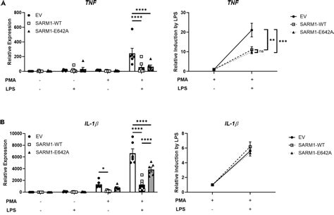 Sarm1 Regulates Pro Inflammatory Cytokine Expression In Human Monocytes