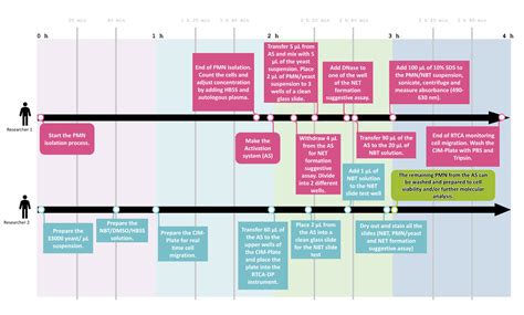 A Set Of Screening Techniques For A Quick Overview Of The Neutrophil