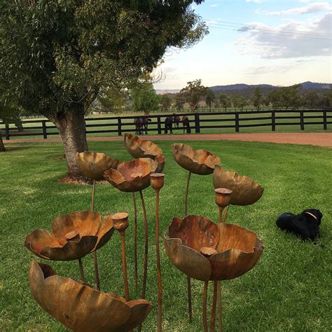 Poppies Alex Scheibner