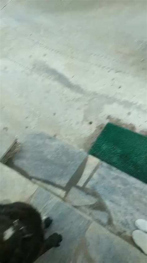 Him Bone Album On Imgur