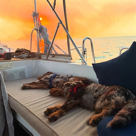Sailing Doodles First Sail On The Island Spirit 525e My Cre