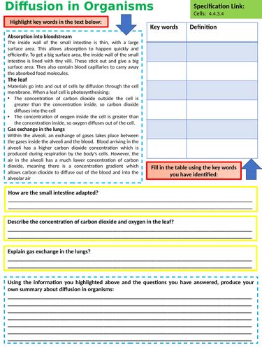 Ks4 Aqa Gcse Biology Science Diffusion Lesson Teaching Resources
