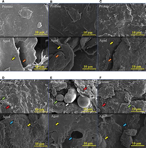 Figure 2 From Photodegradation Of Biobased Polymer Blends In Seawater