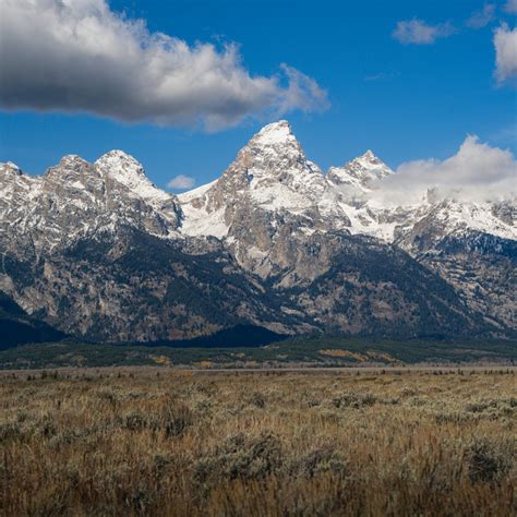 Jackson Marvell Gib Mir Meine Patronen ZurÜck Black Diamond Europe