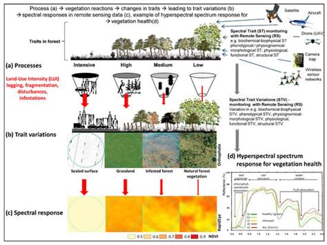 Remote Sensing Free Full Text Understanding Forest Health With Remote Sensing Part Iii