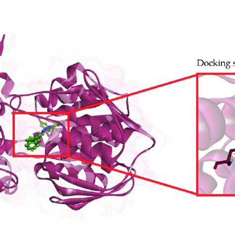 3d Representation Of Conivaptan Compound 3 Udp N Acetylglucosamine Download Scientific